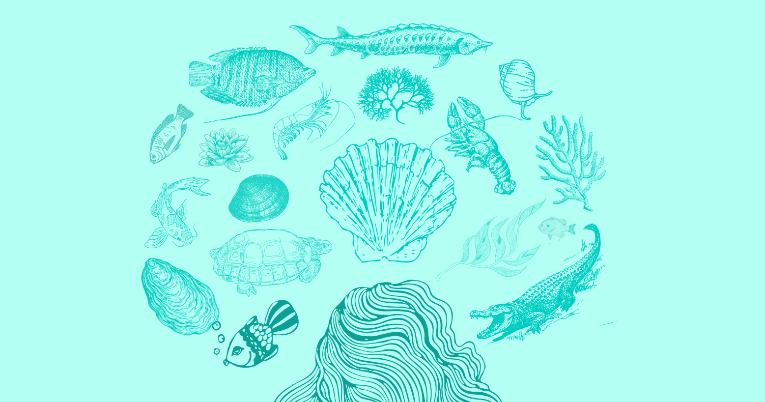 Big Takeaways from 1st Women of the Water Conference – Aquaculture ...